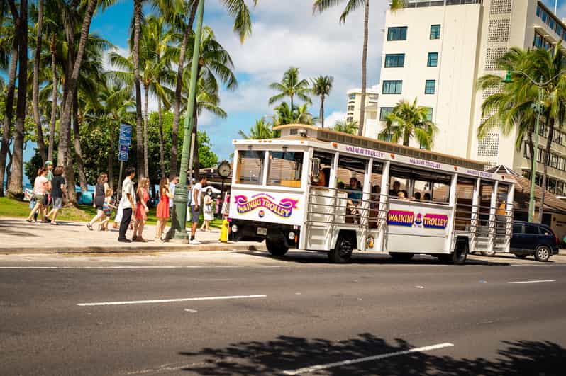 Waikiki Trolley Hop-on Hop-off 1, 4 or 7-Day All-Line Pass | GetYourGuide