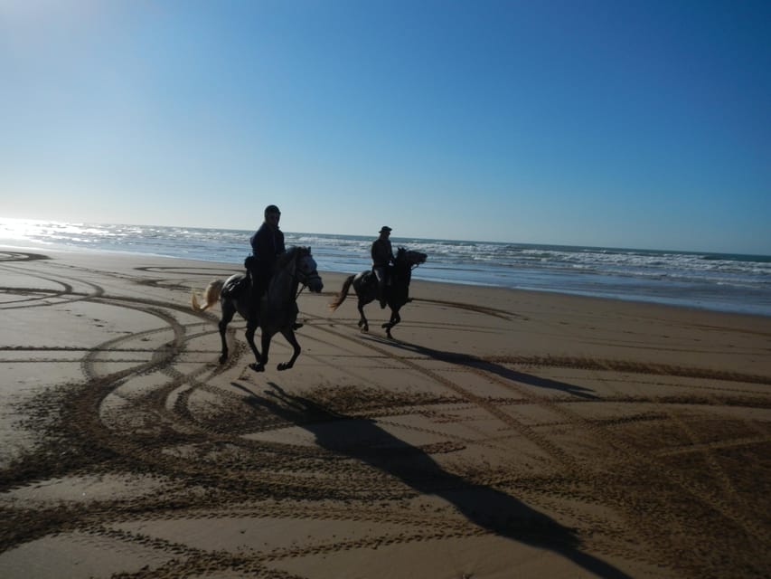 From Essaouira: Scenic Diabat Horseback Ride with Transfer | GetYourGuide