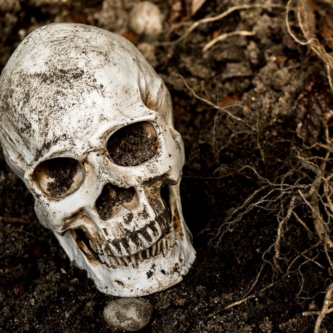 Gettysburg: Ghost Hunt Tour with Ghost Hunting Equipment | GetYourGuide