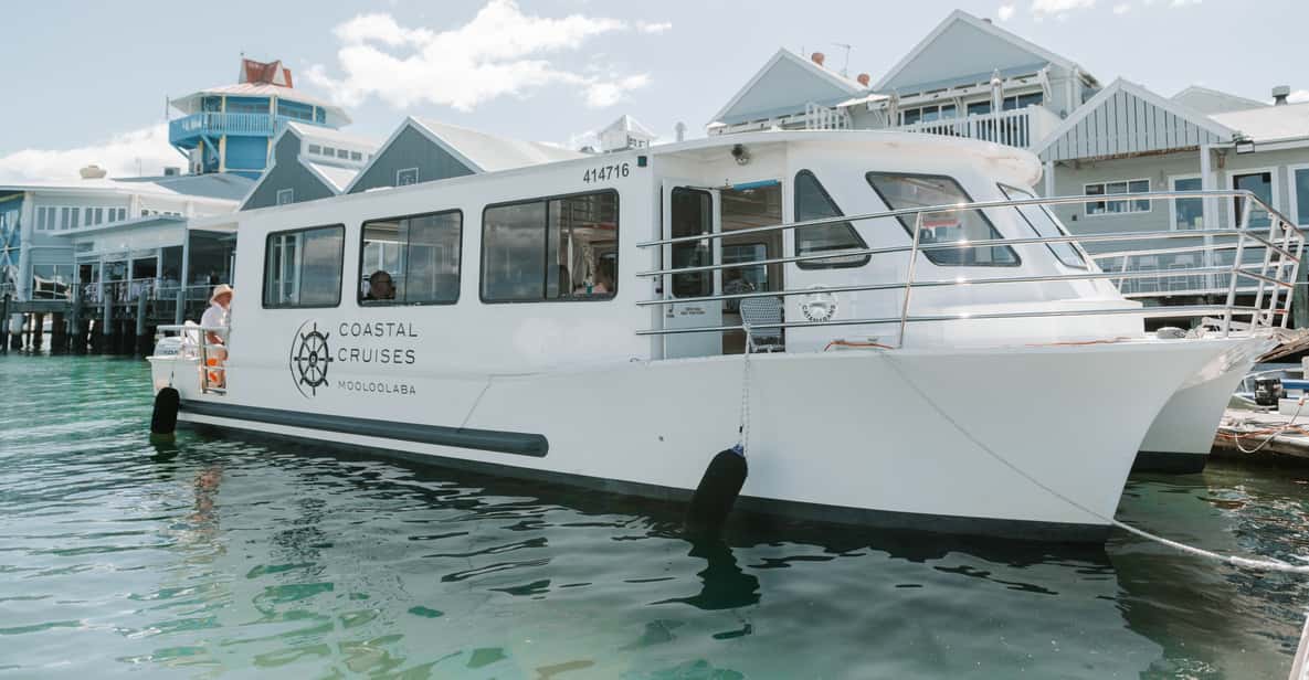 Mooloolaba: Seafood Lunch Cruise | GetYourGuide