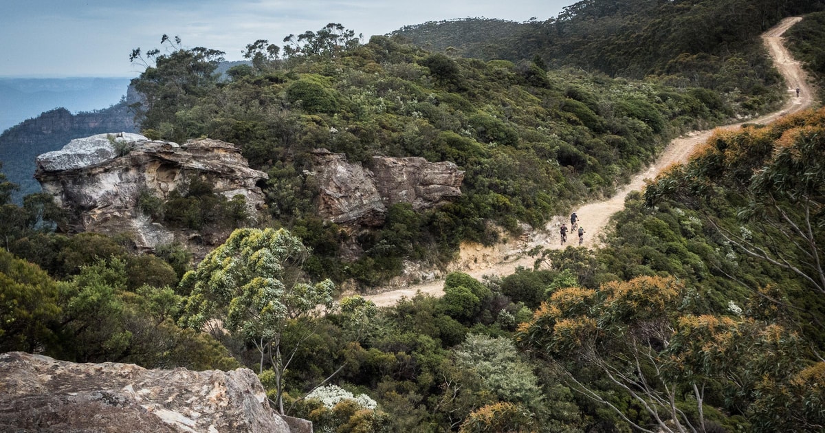 Blue Mountains: Mountainbiketour, Narrowneck Plateau | GetYourGuide