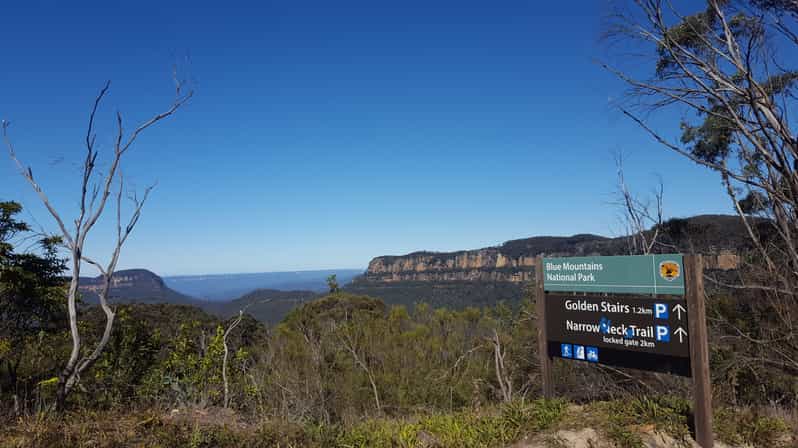 Blue Mountains: Mountainbiketour, Narrowneck Plateau | GetYourGuide