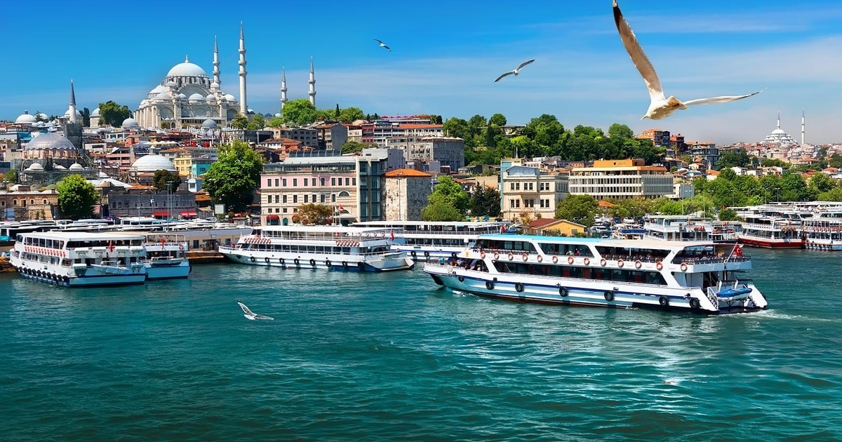 Istanbul: crociera guidata sul Bosforo e tour in autobus del Corno d ...