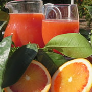Valencia: Orange Farm and Orchard Trip with Tastings | GetYourGuide