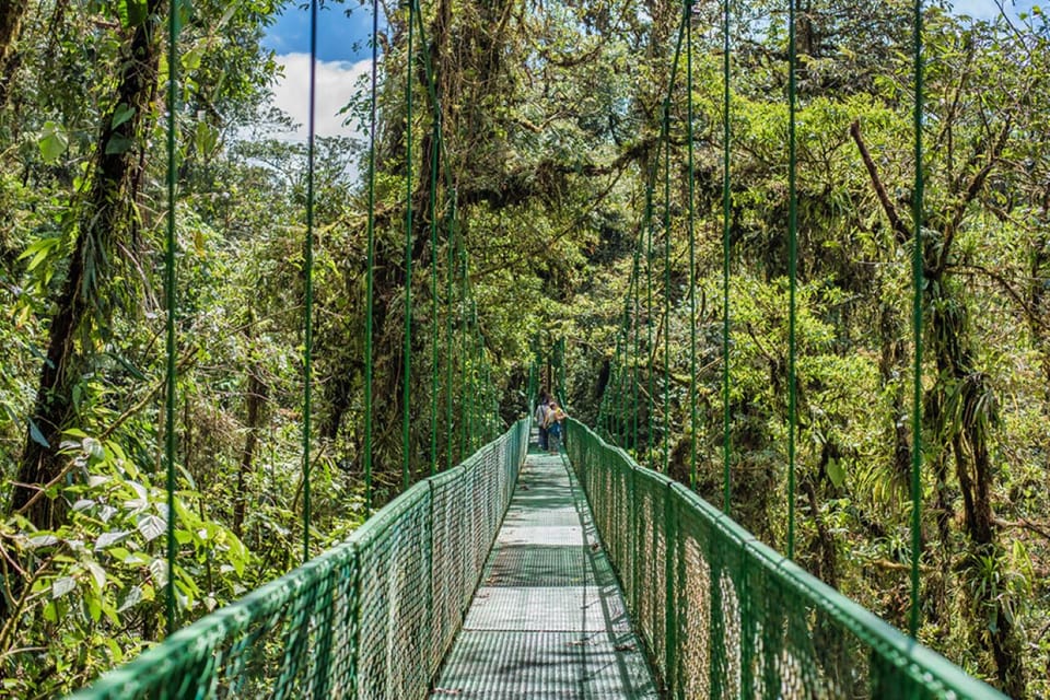 Monteverde: Suspension Bridges, Sloths, and Butterflies | GetYourGuide
