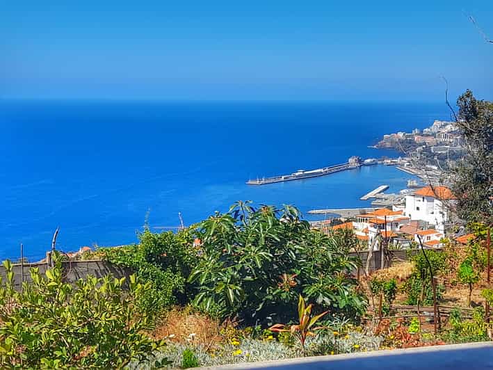 Madeira: Local Food Experience w/ Harvesting & 3-Course Meal | GetYourGuide
