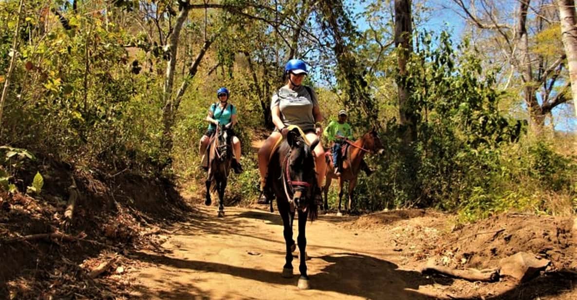 Guanacaste: Horseback Riding Tropical Forest Tour | GetYourGuide