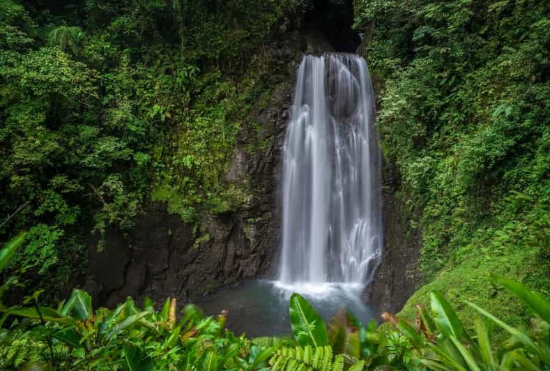 Monteverde: Waterfalls, Wild Trekking and Horseback Riding | GetYourGuide
