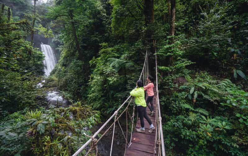 Monteverde: Waterfalls, Wild Trekking and Horseback Riding | GetYourGuide
