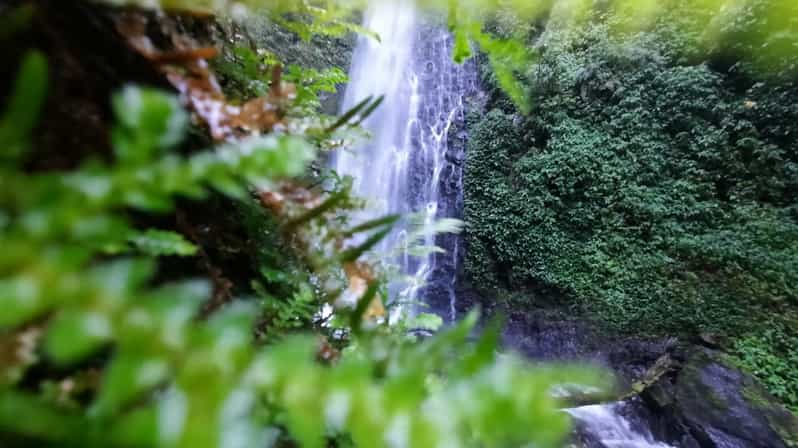 Monteverde: Waterfalls, Wild Trekking and Horseback Riding | GetYourGuide