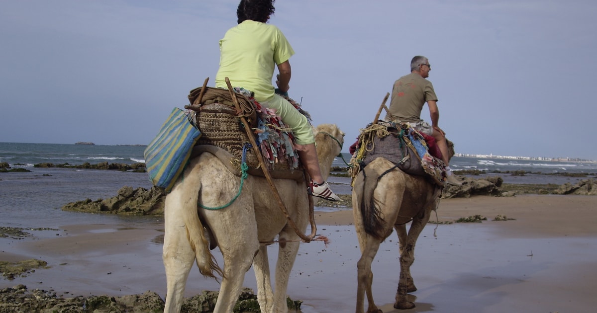 From Essaouira: Camel Tour with Overnight Stay in a tent | GetYourGuide