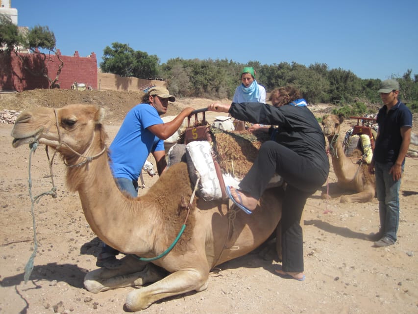 From Essaouira: Camel Tour with Overnight Stay in a tent | GetYourGuide