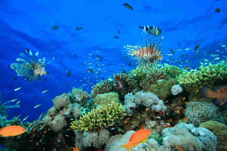 Σαρμ: Colored Canyon Dahab Tour με τρεις πισίνες Snorkeling | GetYourGuide