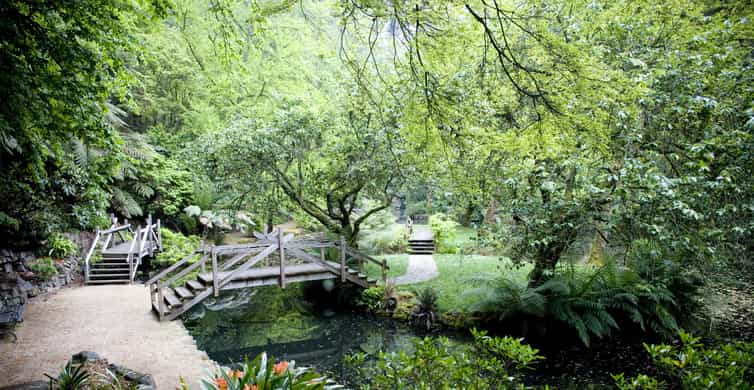 From Melbourne: Dandenong Ranges Private Day Tour | GetYourGuide