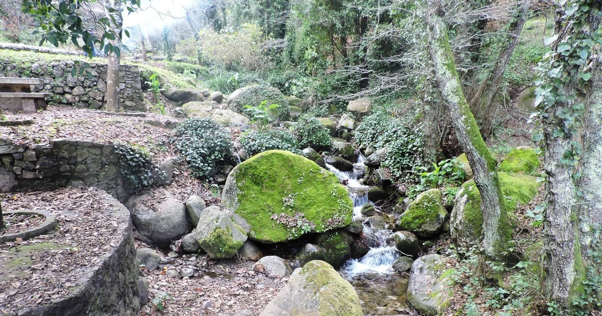 From Lagos: Monchique Guided Forest Walk w/Medronho Tasting | GetYourGuide