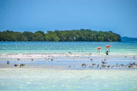Passion Island, México, Quintana Roo - Book Tickets & Tours | GetYourGuide