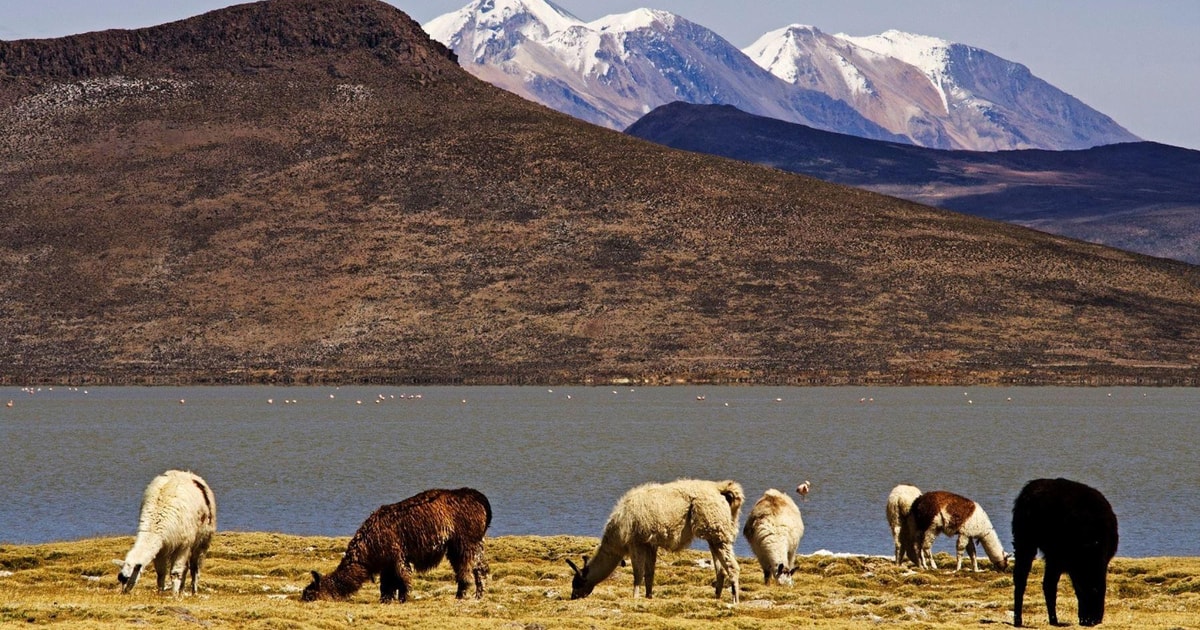 Salinas Lake - National Reserve PRIVATE TOUR min 2 people | GetYourGuide