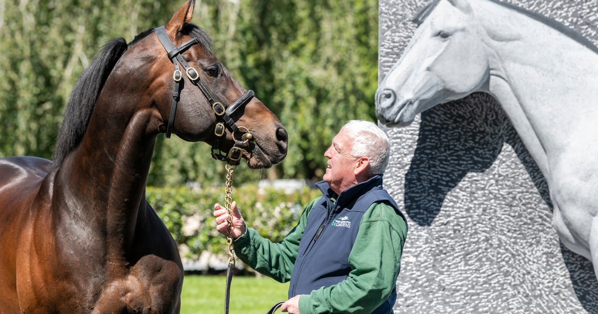 Kildare: Irish National Stud & Gardens | GetYourGuide