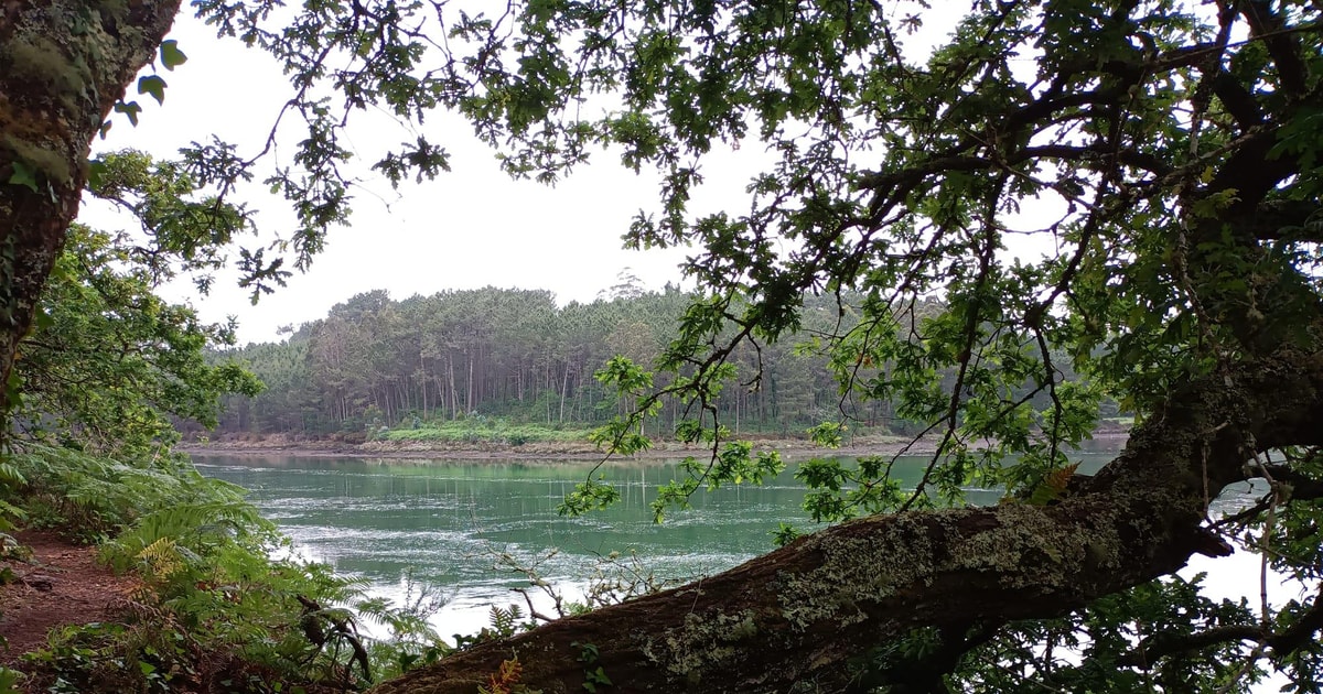 Galicia: ruta guiada de senderismo Camino dos Faros | GetYourGuide