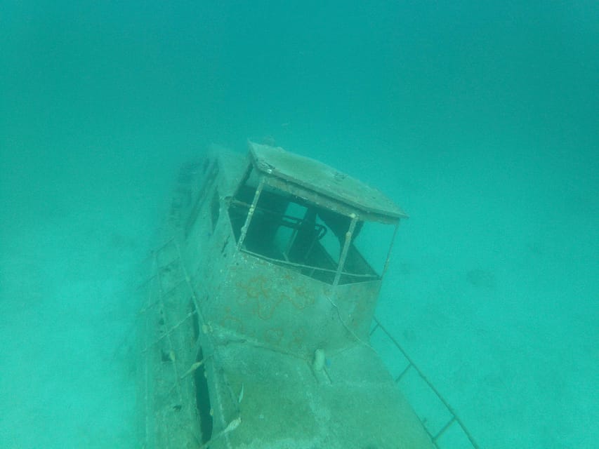 Aruba: Mangel Halto Reef & Hole in the Wall Shore Scuba Dive | GetYourGuide