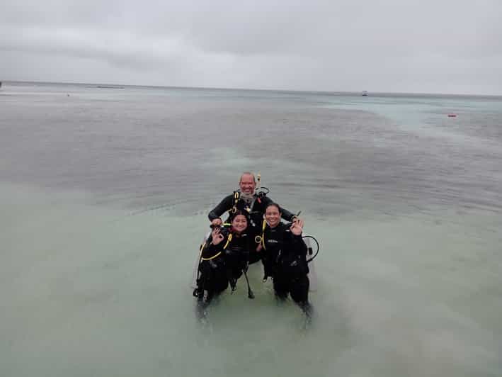 Aruba: Mangel Halto Reef & Hole in the Wall Shore Scuba Dive | GetYourGuide