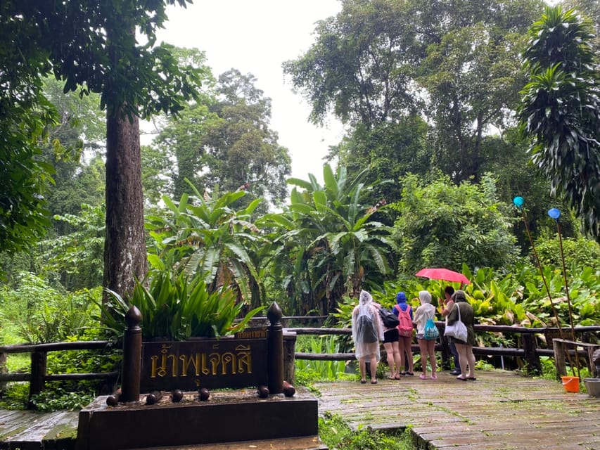 Chiang Mai: Bua Thong Sticky Waterfall Private Half-Day Tour | GetYourGuide