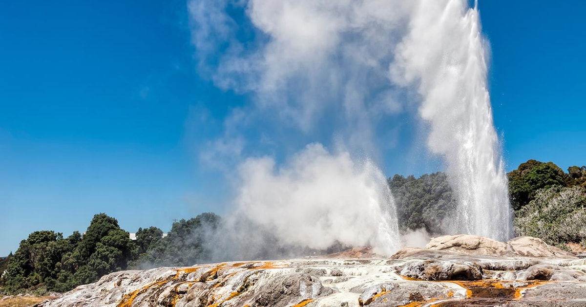 Excursión de ida en tour en grupo reducido de Auckland a Rotorua ...