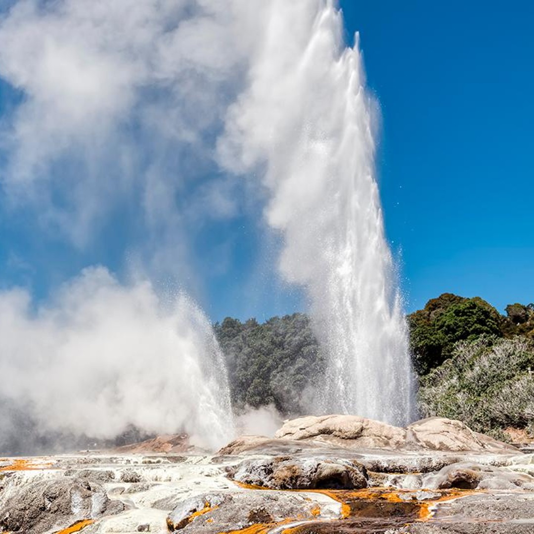 Auckland to Rotorua via Hobbiton One Way Small Group Tour | GetYourGuide