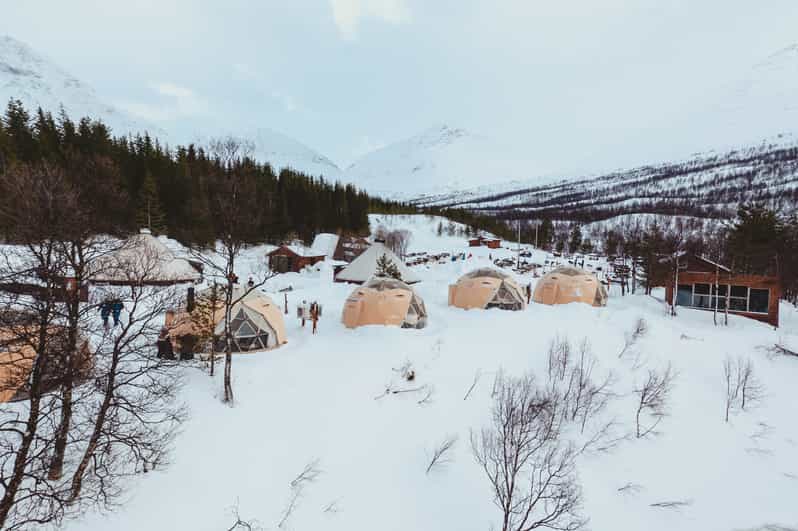 From Tromsø: Daytime Snowmobiling at Camp Tamok | GetYourGuide