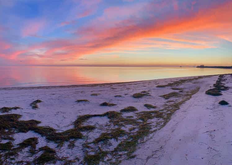 Holiday, FL: Anclote Key Preserve Private Boat Tour | GetYourGuide