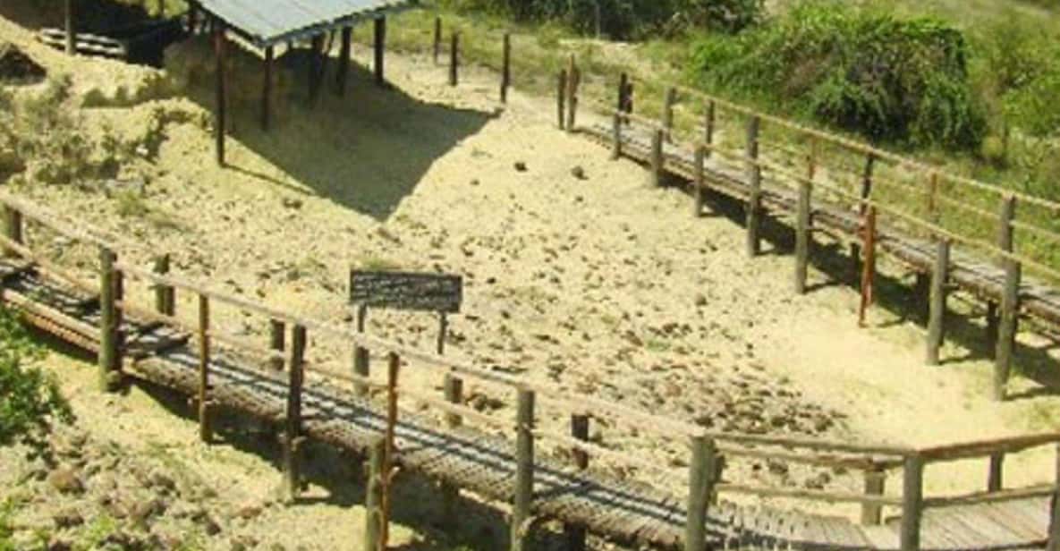 Nairobi: 3-dages Olorgesailie Prehistoric Site Camping Tour | GetYourGuide