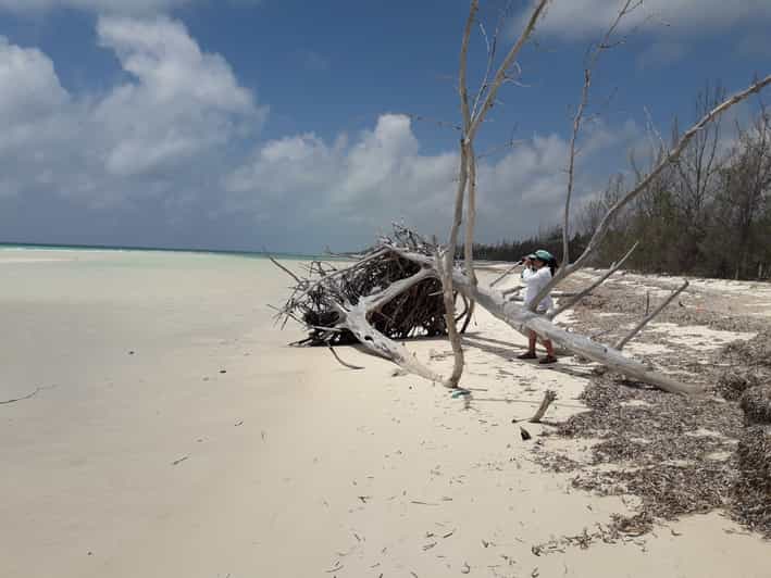 From Freeport: East Grand Bahama Tour with Transfer | GetYourGuide