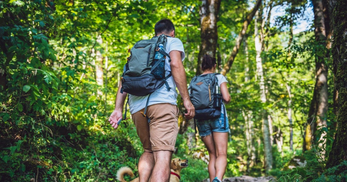 Da Samana: escursione a Los Haitises, gita in barca e kayak | GetYourGuide