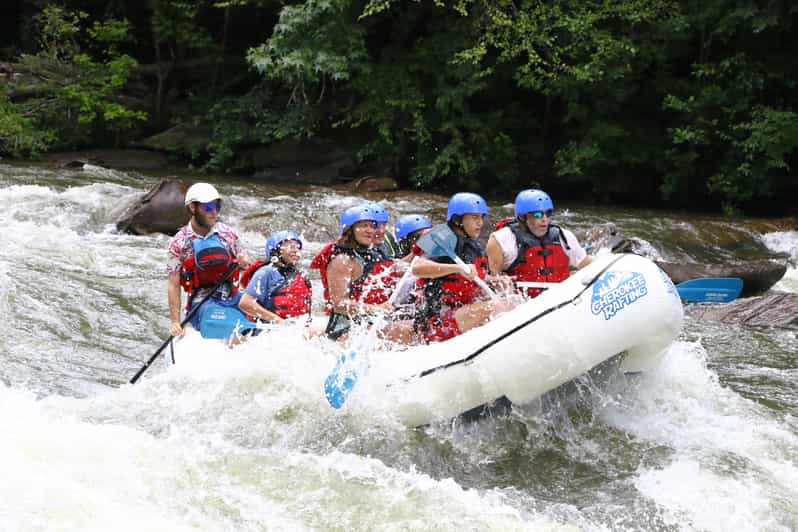 Middle Ocoee River Whitewater Rafting Trip | GetYourGuide