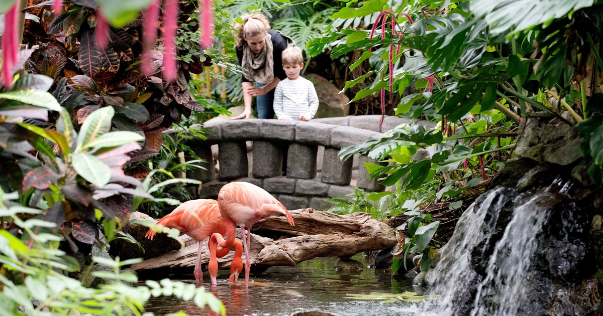 Victoria: entrada a los jardines de mariposas | GetYourGuide