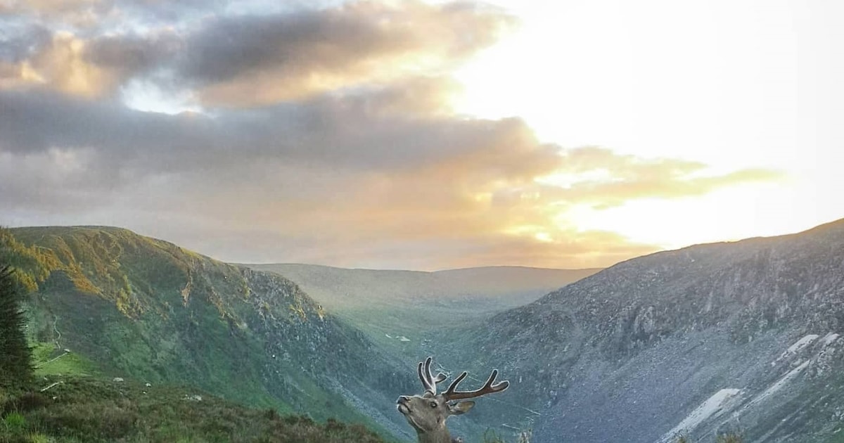 Wicklow: Glendalough Guided Night Hike and History Tour | GetYourGuide