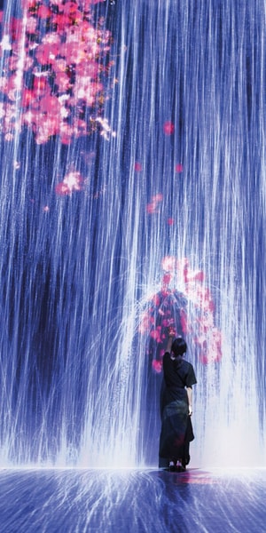 Miami: 'Superblue Miami' Immersive Art Experience Ticket | GetYourGuide