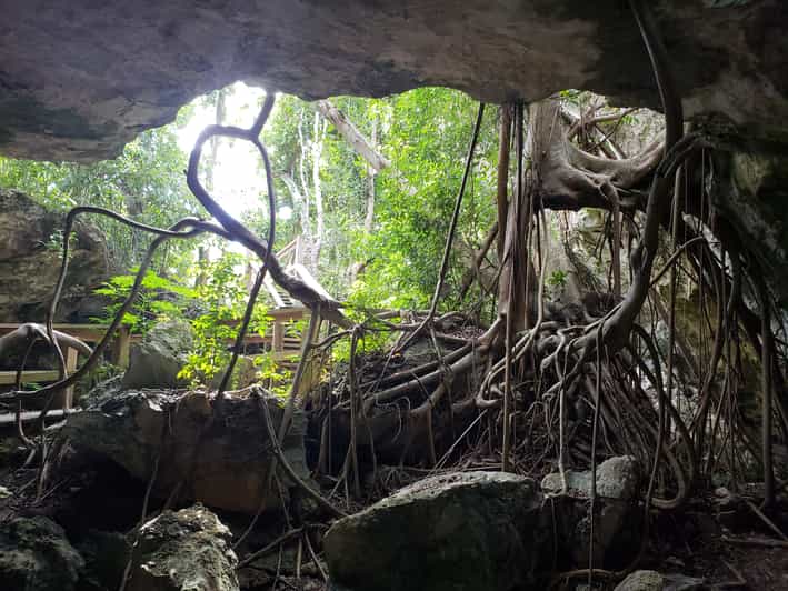 From Freeport: East Grand Bahama Tour with Transfer | GetYourGuide