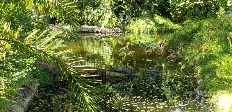 From Freeport: East Grand Bahama Tour with Transfer | GetYourGuide
