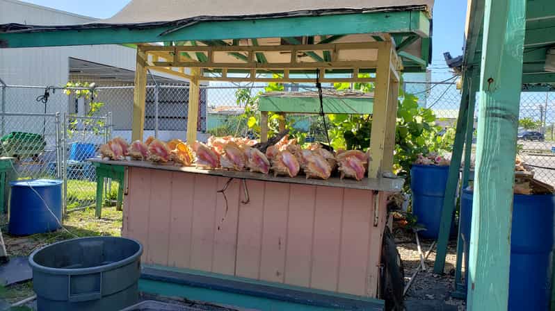 From Freeport: East Grand Bahama Tour with Transfer | GetYourGuide