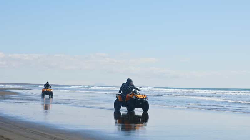 Reykjavík: Black Sand Beach 2-Hour ATV Adventure | GetYourGuide