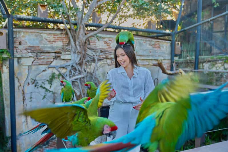 Mazatlán: tour guiado del Observatorio Mazatlán 1873 | GetYourGuide