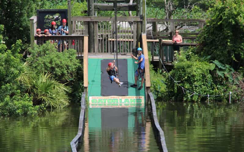 Orlando Zipline Over Florida Alligators At Gatorland Getyourguide