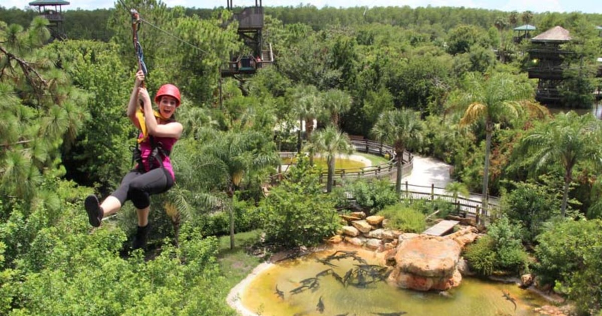 Orlando: Gatorland Zipline Adventure w/ Full-Day Park Access | GetYourGuide