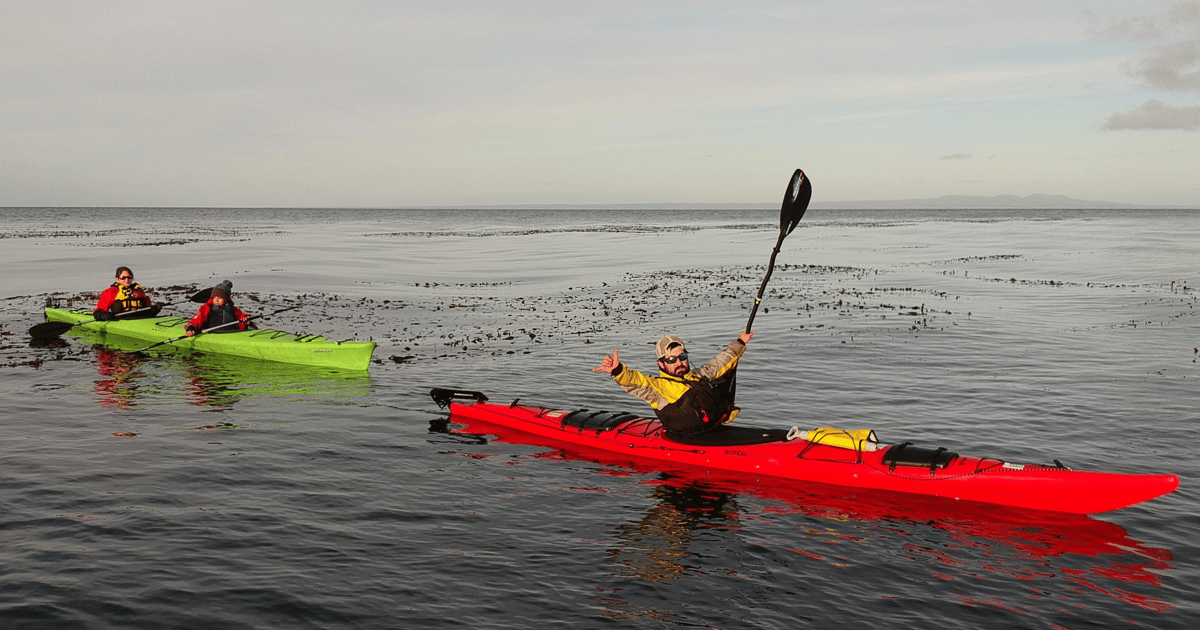 Punta Arenas: Kayaking Trip with Wildlife | GetYourGuide