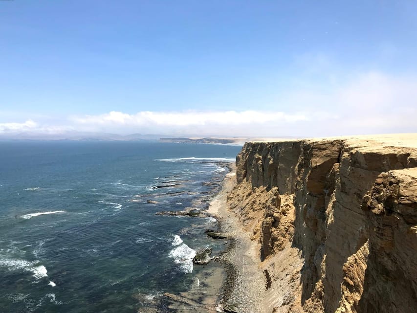 From Paracas: Ballestas Island Cruise & Paracas Reserve Tour | GetYourGuide