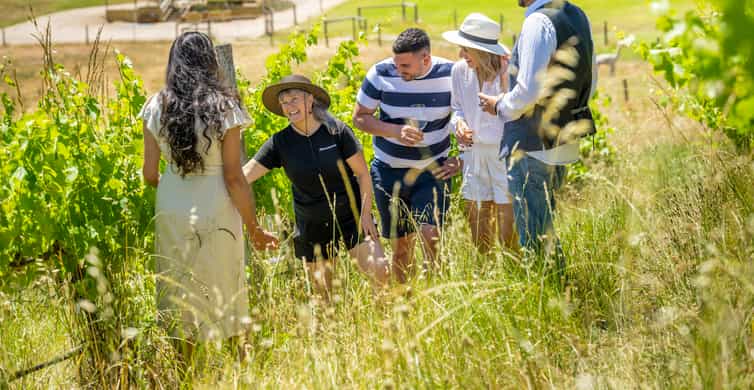 McLaren Vale: Cata de Vinos Biodinámicos y Almuerzo Degustación ...