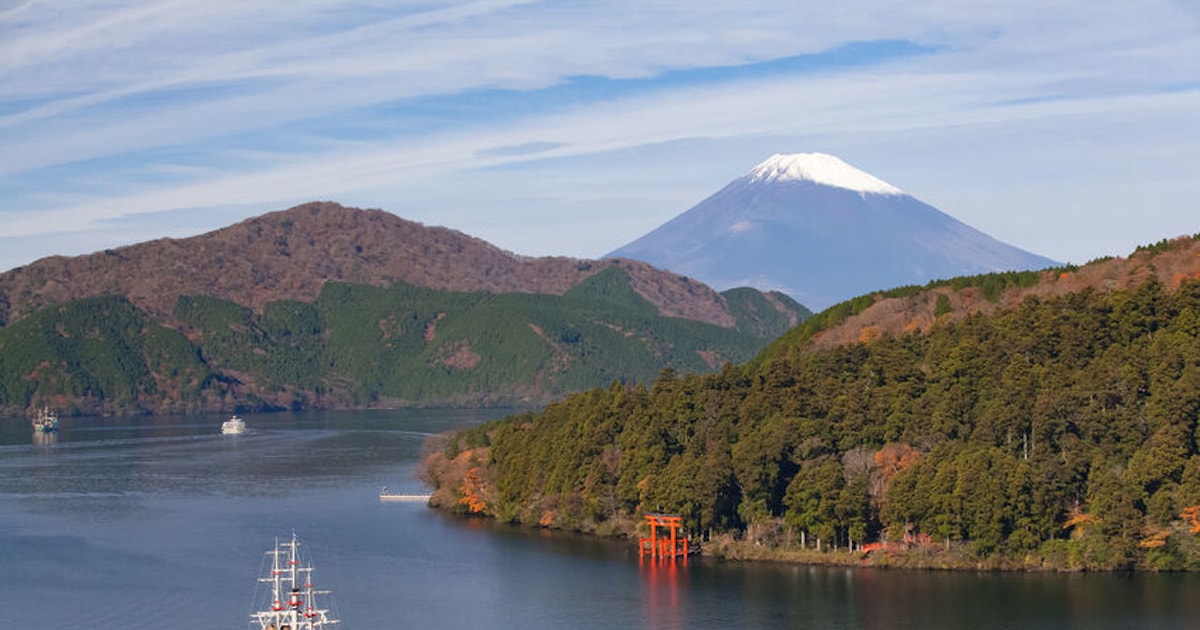Desde Tokio: Excursión Privada de un Día a Hakone y Owakudani ...
