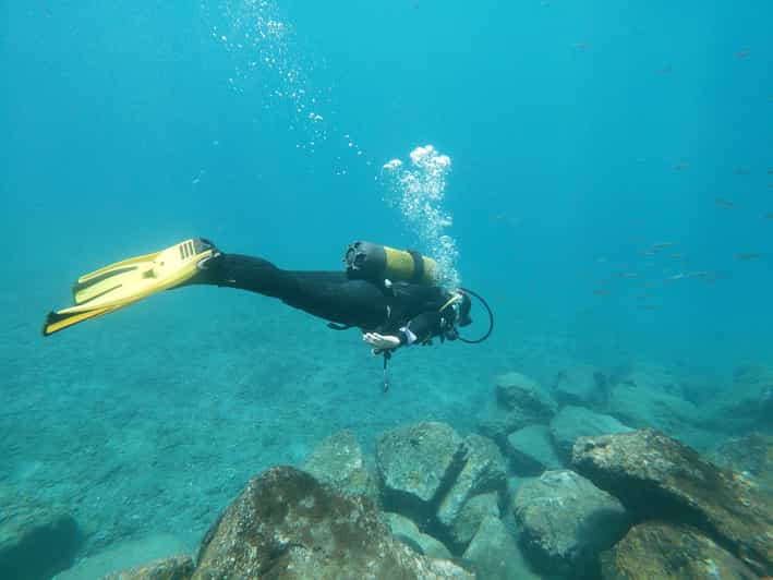 Tenerife: Costa Adeje Private Diving Lesson Experience | GetYourGuide