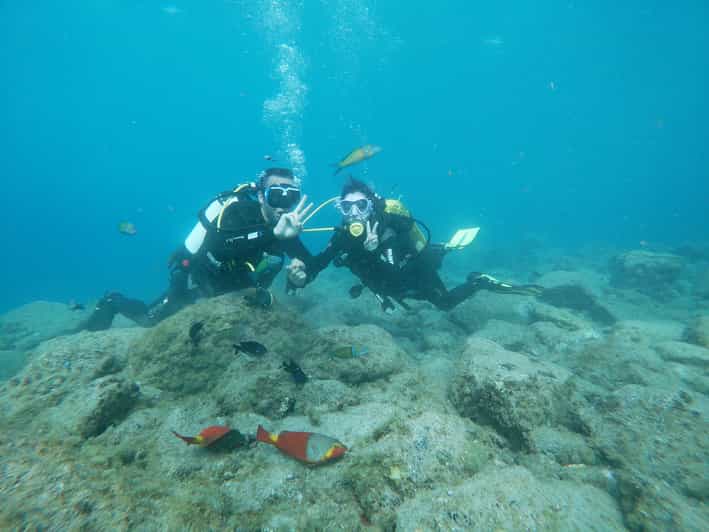 Tenerife: Costa Adeje Private Diving Lesson Experience | GetYourGuide